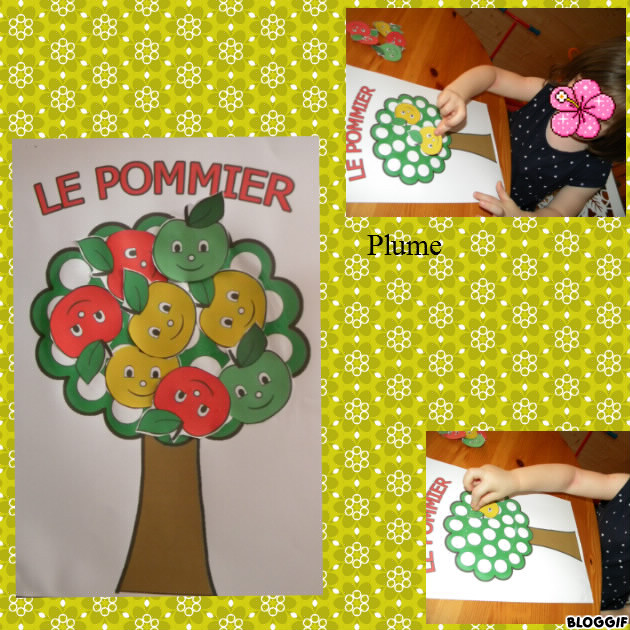 LE POMMIER
